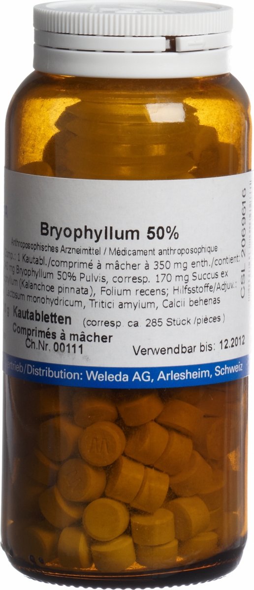 Weleda Bryophyllum Tabletten 50% 100g in der Adler Apotheke