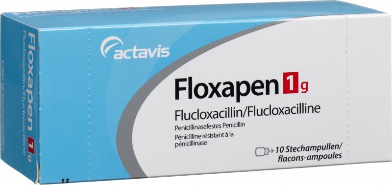 Floxapen Trockensubstanz 1g Durchstechflasche 10 Stück in der Adler ...